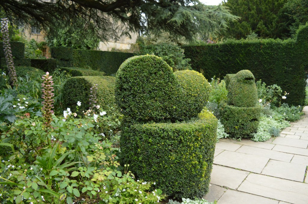 The art of Topiary – Louise Nicholls – Adventures in horticulture