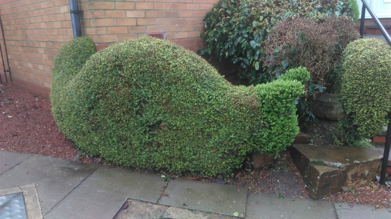 The art of Topiary – Louise Nicholls – Adventures in horticulture